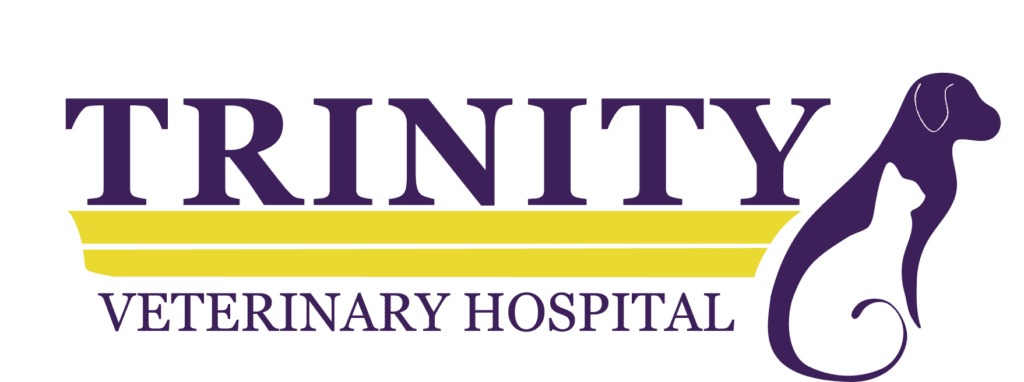 Meet Our Team｜Trinity Veterinary Hospital in Stillwater, OK